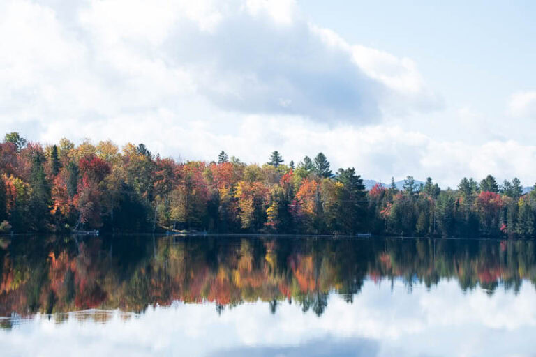 Lightroom and Camera Raw Profiles Explained: The 5 Most Common