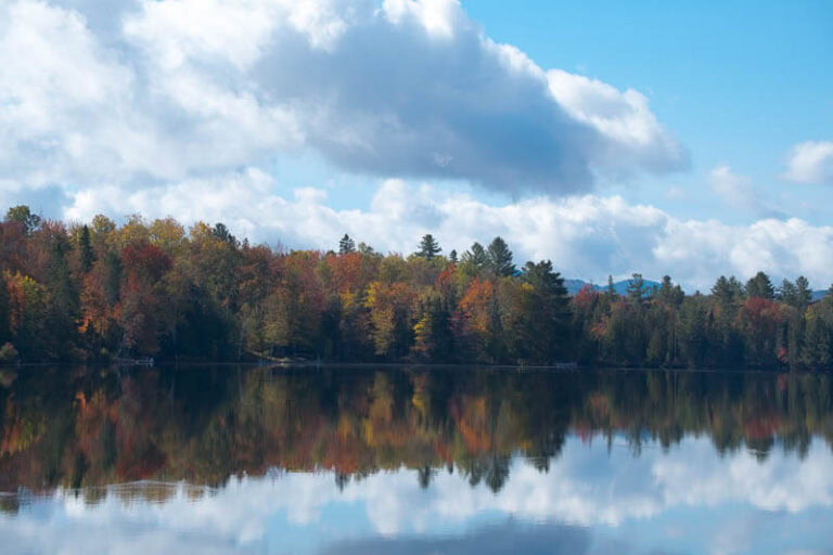 Lightroom and Camera Raw Profiles Explained: The 5 Most Common